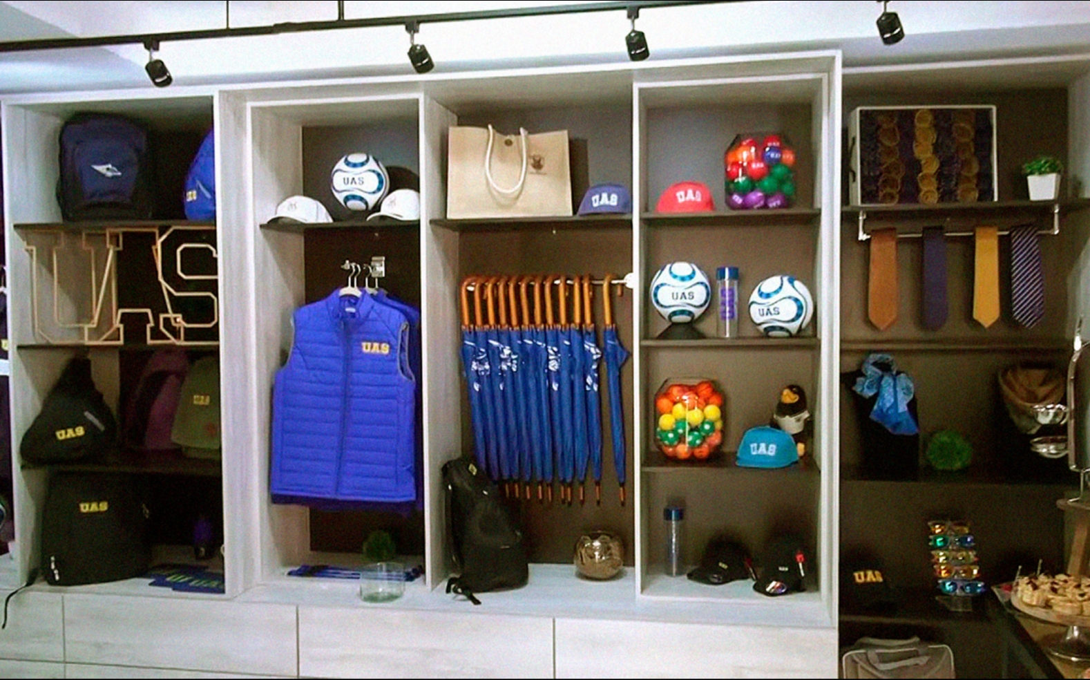 UNIVERSIDAD AUTÓNOMA DE SINALOA